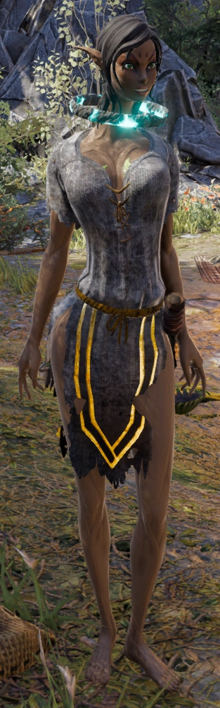 Unnis | Divinity Wiki | Fandom