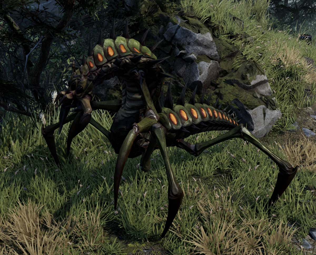 Noxious Voidwoken | Divinity Wiki | Fandom