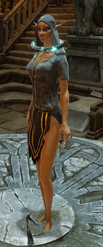 Elven Prisoner | Divinity Wiki | Fandom