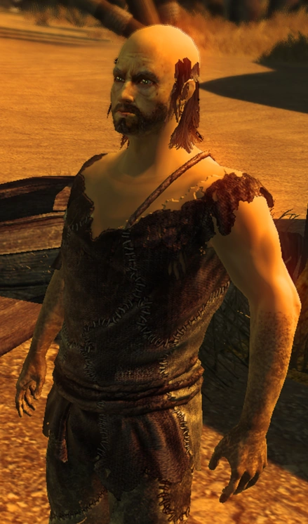 Sam | Divinity Wiki | Fandom