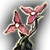 Drudanae (Original Sin 2) | Divinity Wiki | Fandom