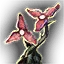 Drudanae (Original Sin 2) | Divinity Wiki | Fandom