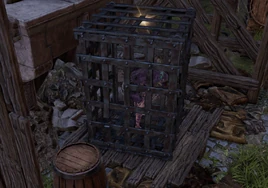 The Imprisoned Elf | Divinity Wiki | Fandom