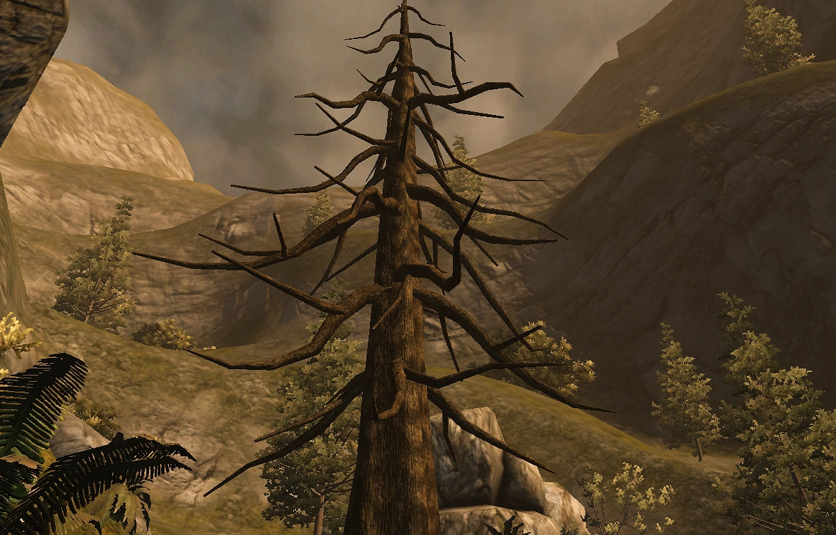 Irminsul | Divinity Wiki | Fandom