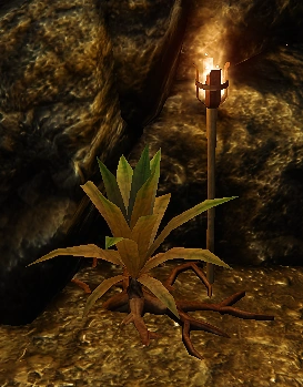 Earth Root | Divinity Wiki | Fandom