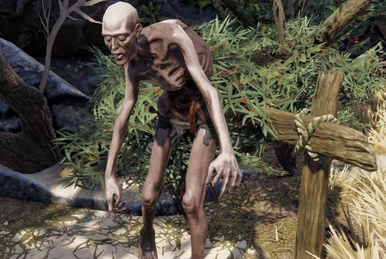 ripped off face divinity 2