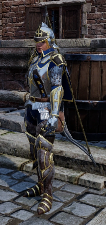 Paladin Markswoman | Divinity Wiki | Fandom