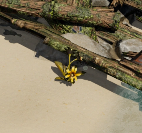 Stardust Herb (Original Sin 2) | Divinity Wiki | Fandom