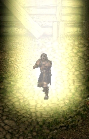 Bless (Divine Divinity) | Divinity Wiki | Fandom