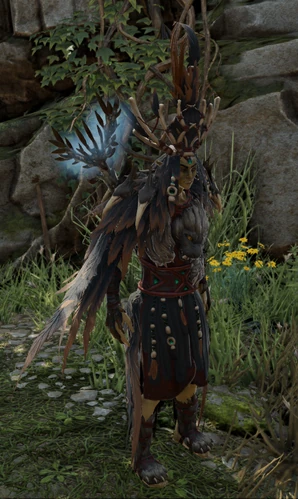 Elf Stormchanter | Divinity Wiki | Fandom