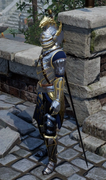 Paladin Protector | Divinity Wiki | Fandom