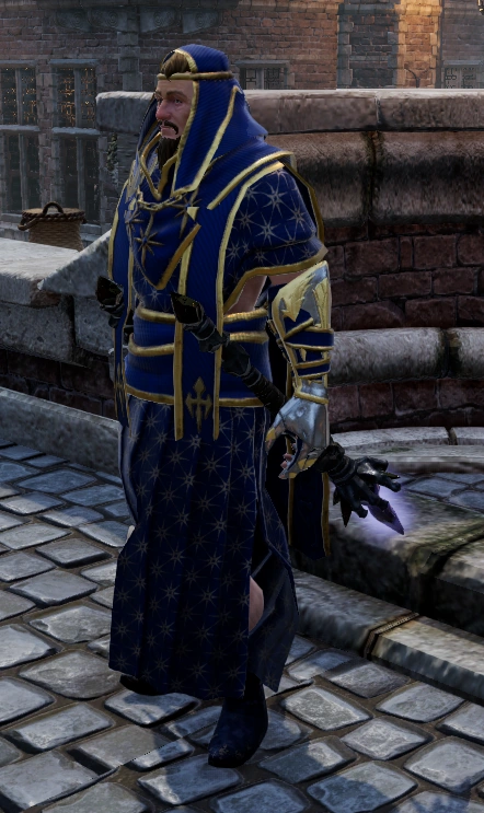 Paladin Healer | Divinity Wiki | Fandom