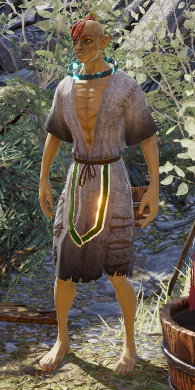 Elf Herbalist | Divinity Wiki | Fandom