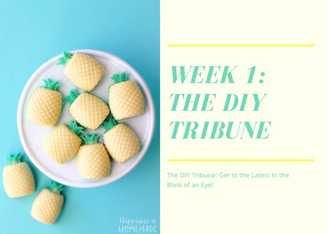 Polls | DIY Room Decor for Kids Wiki | Fandom