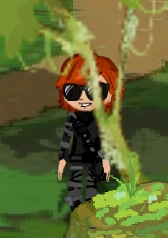 Stealth Gear | Dizzywood Wiki | Fandom