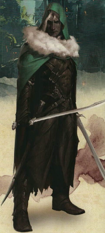 Elves | DJ's D&D World Wiki | Fandom