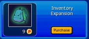 Inventory Expansion | Digimon Masters Online Wiki | Fandom
