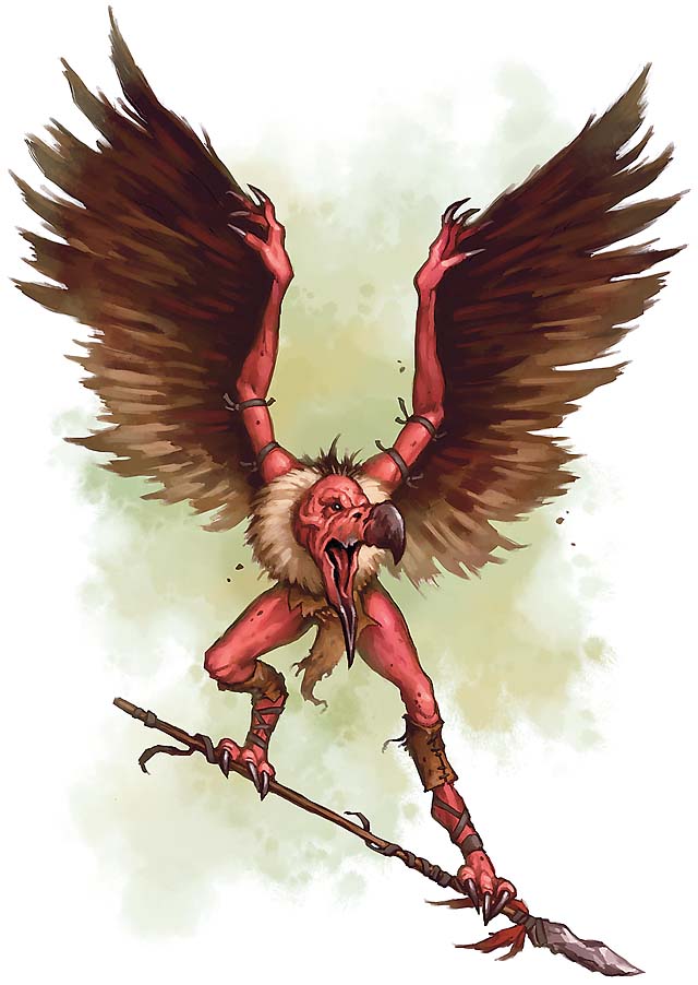 Aarakocra | Dnd 5e Dark Sun conversion progress Wikia | Fandom