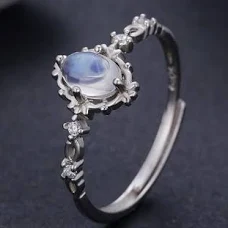 Silver ring | World's Largest City and Dungeon Wiki | Fandom