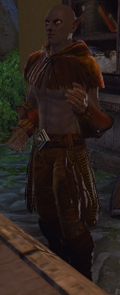 Armor Trader | Neverwinter Wiki | Fandom