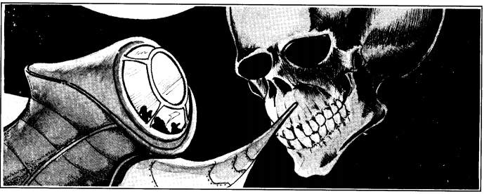 虚空头骨skull Of The Void 龙与地下城 Wiki Fandom