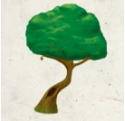 瑞里芬·莱勒菲Rillifane Rallathil | 龙与地下城 Wiki | Fandom