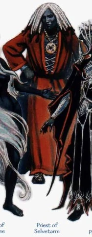 席文塔姆Selvetarm | 龙与地下城 Wiki | Fandom