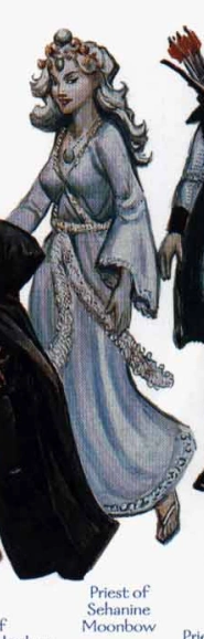 莎罕妮·月弓Sehanine Moonbow | 龙与地下城 Wiki | Fandom