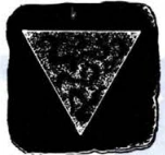 蕾拉Leira | 龙与地下城 Wiki | Fandom