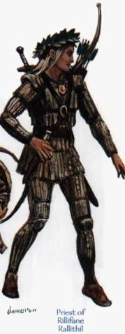 瑞里芬·莱勒菲Rillifane Rallathil | 龙与地下城 Wiki | Fandom