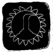 埃达丝Eldath | 龙与地下城 Wiki | Fandom