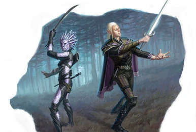 Eladrin Female Swordmage