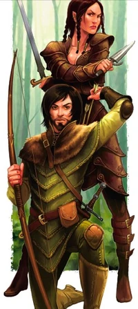 Half-elf | D&D4 Wiki | Fandom
