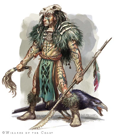 Category:Shamans | D&D4 Wiki | Fandom