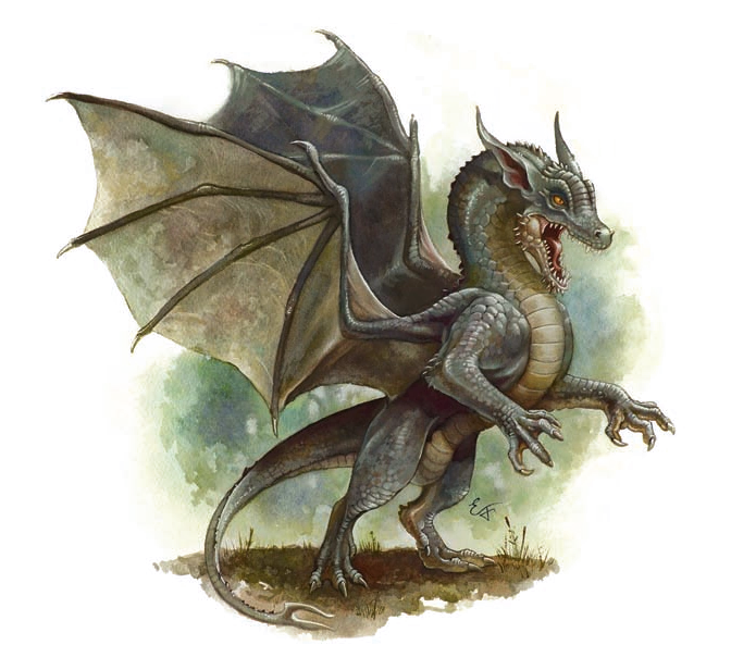 Gray Dragon | Awoken Heroes Wiki | Fandom