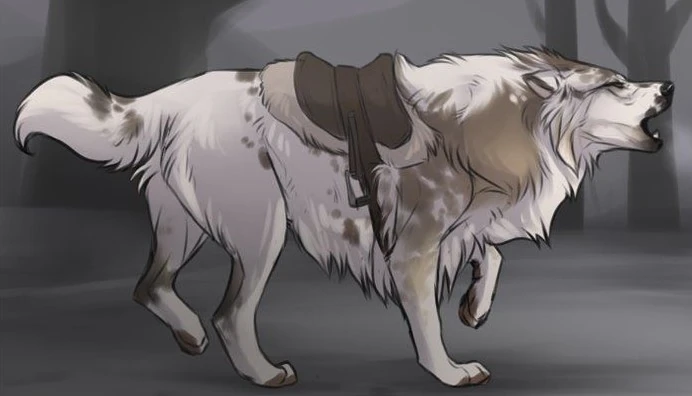 Nyme | Dndcampaignwiki1fordummiesyashits Wiki | Fandom