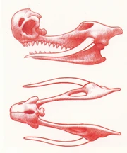 Wahrk | D'ni | Fandom