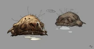 Karacule | Dragon Nest SEA Wiki | Fandom
