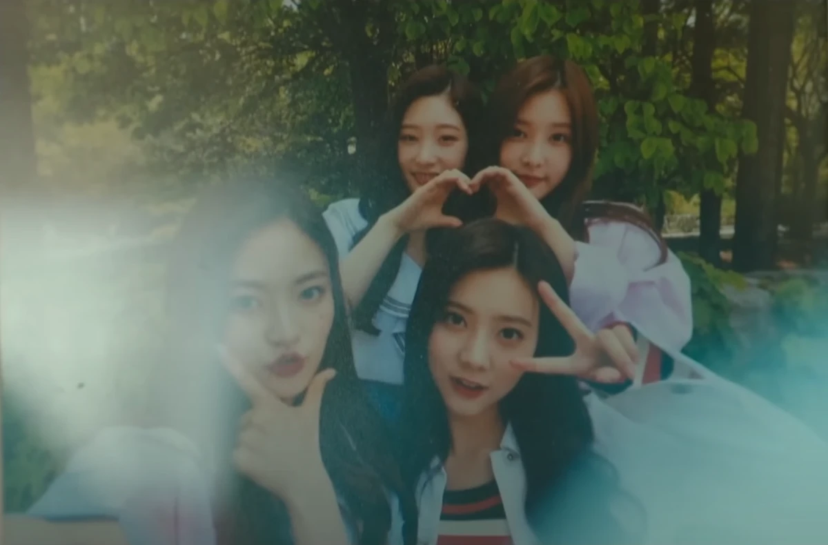 Cocoa | Do It Amazing Wiki | Fandom