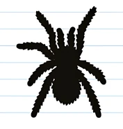 Seven-Legged Spider | Diary of a Wimpy Kid Wiki | Fandom