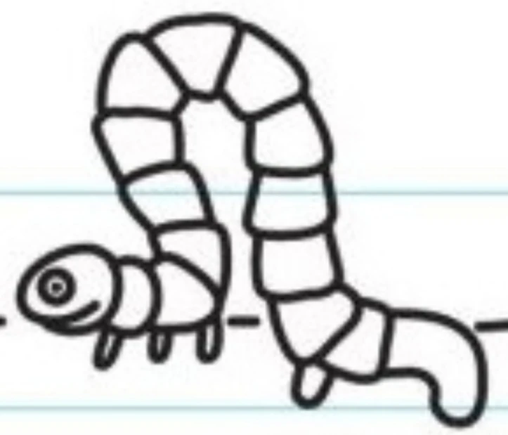 Squirm the Worm | Diary of a Wimpy Kid Wiki | Fandom