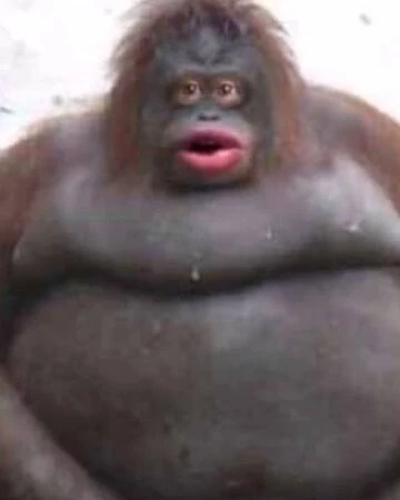 Category:Character userbox templates | Diary of a Wimpy Kid Wiki | Fandom