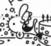 David Eisner | Diary of a Wimpy Kid Wiki | Fandom