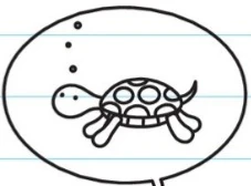 Edward Mealy's pet turtle | Diary of a Wimpy Kid Wiki | Fandom