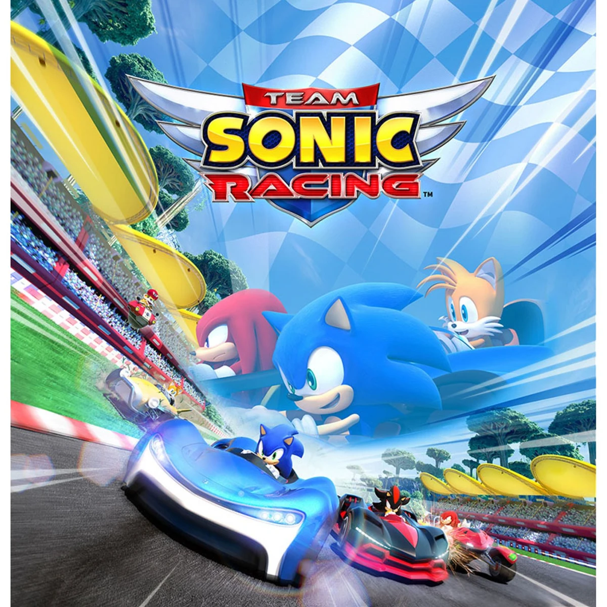 Team Sonic Racing | Propuestas de fans del Doblaje | Fandom