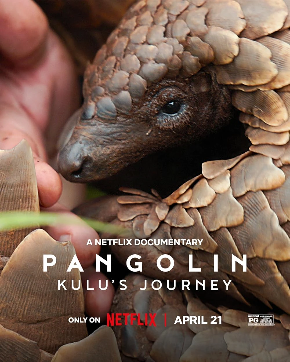 Pangolín: El viaje de Kulu | Doblaje Wiki | Fandom