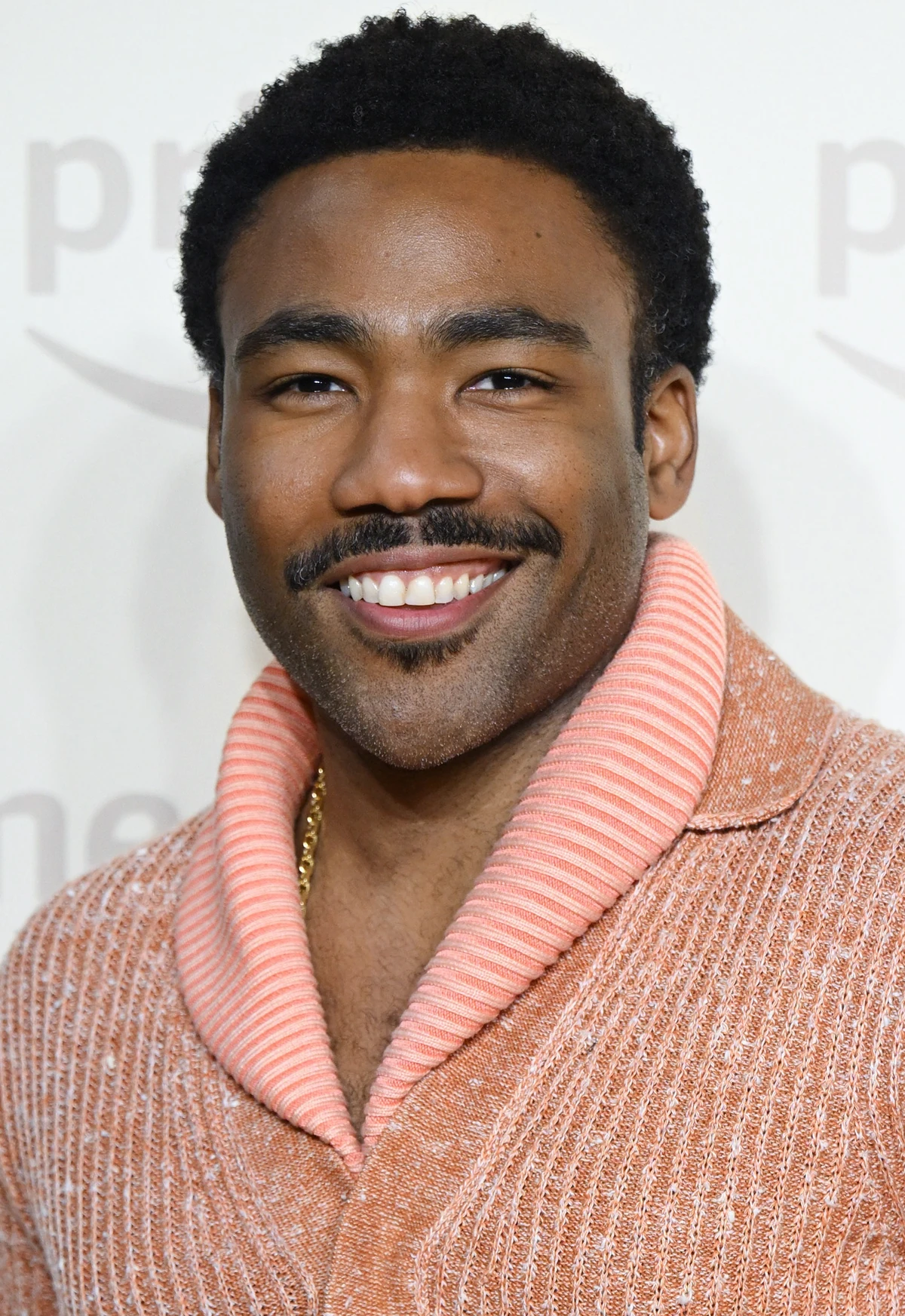 Donald Glover | Doblaje Wiki | Fandom