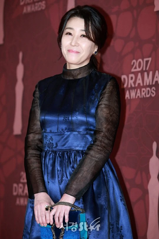 Kim Mi Kyung | Doblaje Wiki | Fandom