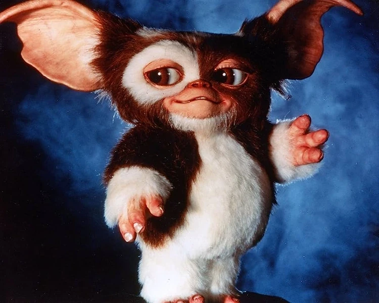 Gizmo (personaje) | Doblaje Wiki | Fandom