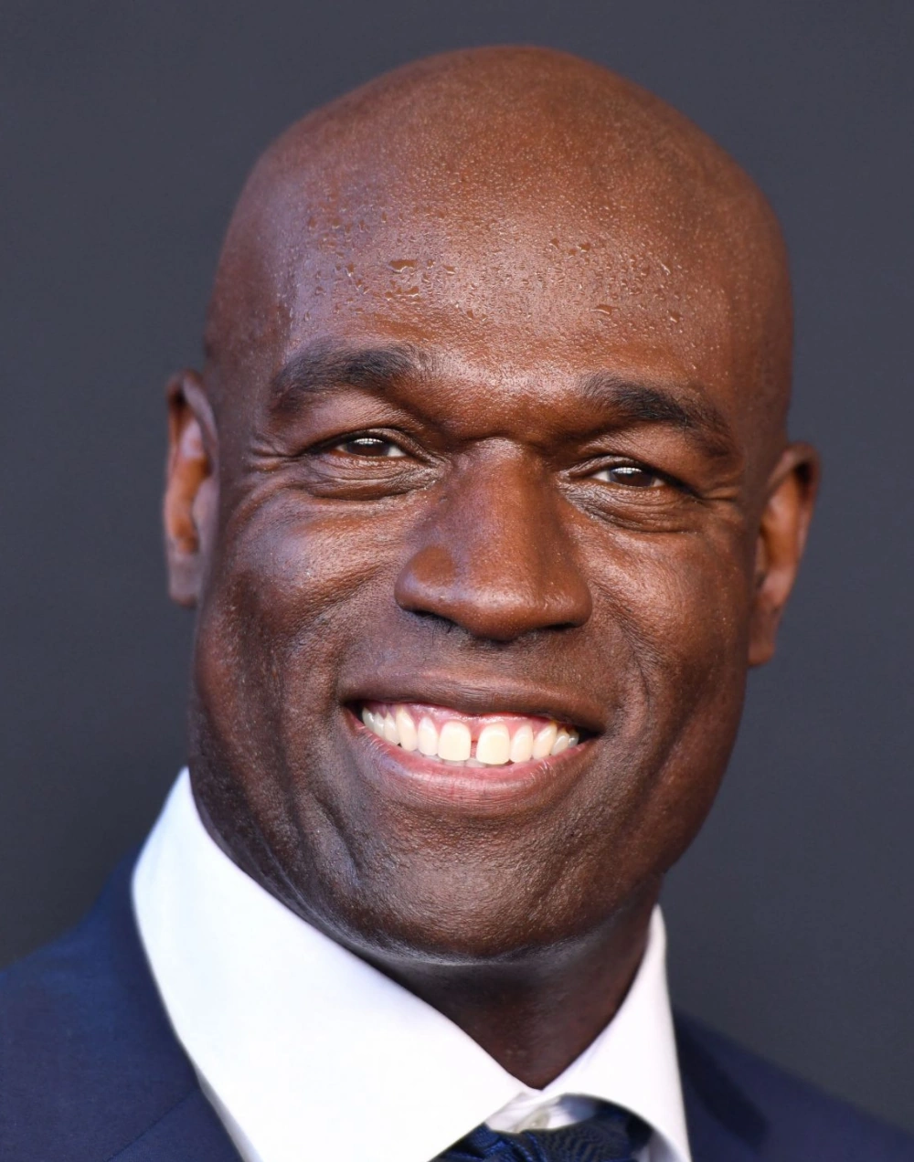 Steve Toussaint | Doblaje Wiki | Fandom